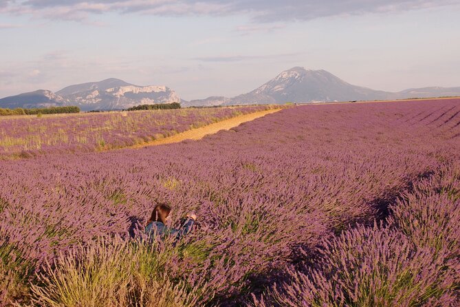 Sunset Lavender Tour in Valensole With Pickup From Marseille - Guest Feedback and Recommendations