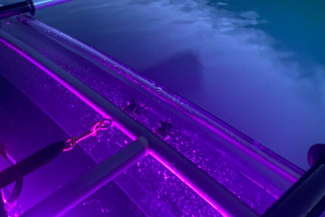 Sunset LED Clear Kayak Rentals for Glacier Park - An Overview of the Experience