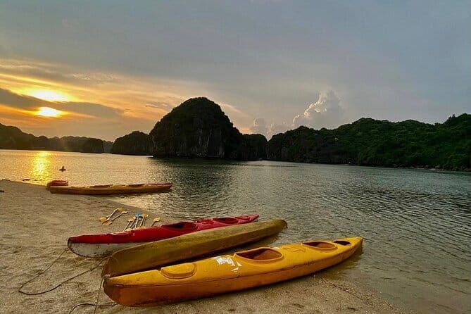 Sunset- Magical bioluminescent plankton Kayaking trip from Catba - What’s Included and What You Should Know