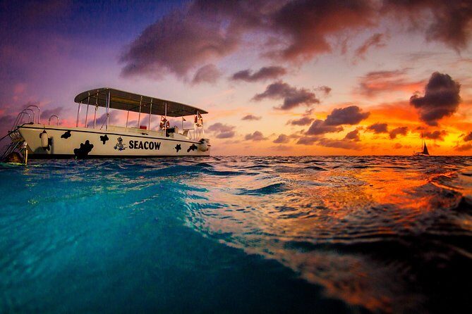 Sunset- night snorkel trip - An In-Depth Look at the Sunset Night Snorkel Trip