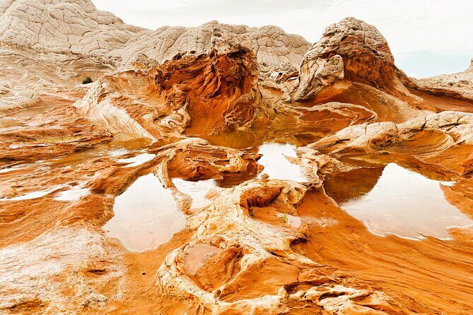 Sunset Off-Road White Pocket Guided Hike Activity - Small Group - Frequently Asked Questions