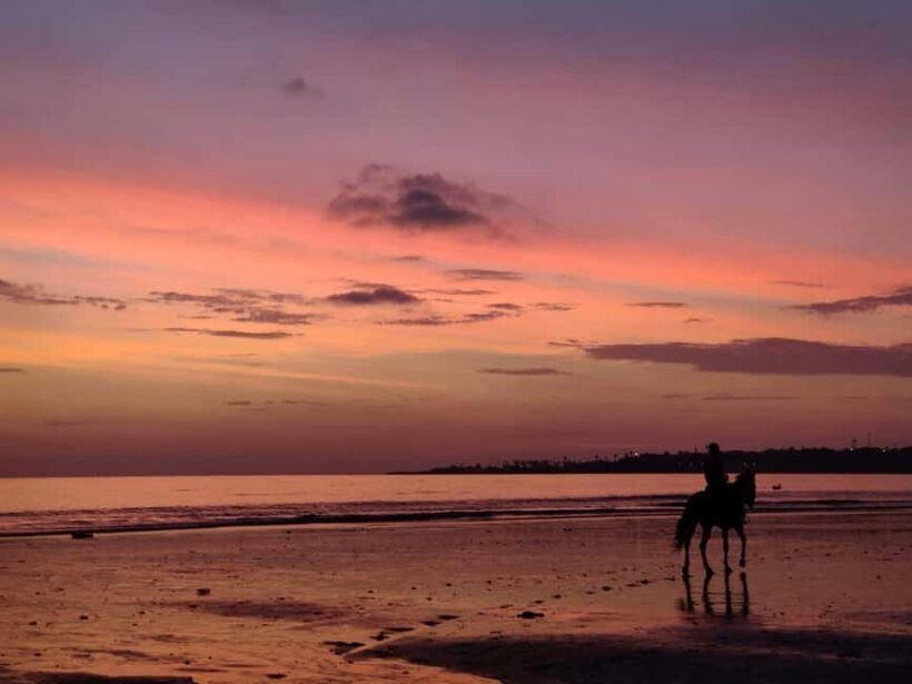 Sunset on Horseback at El Limón Beach - Key Points