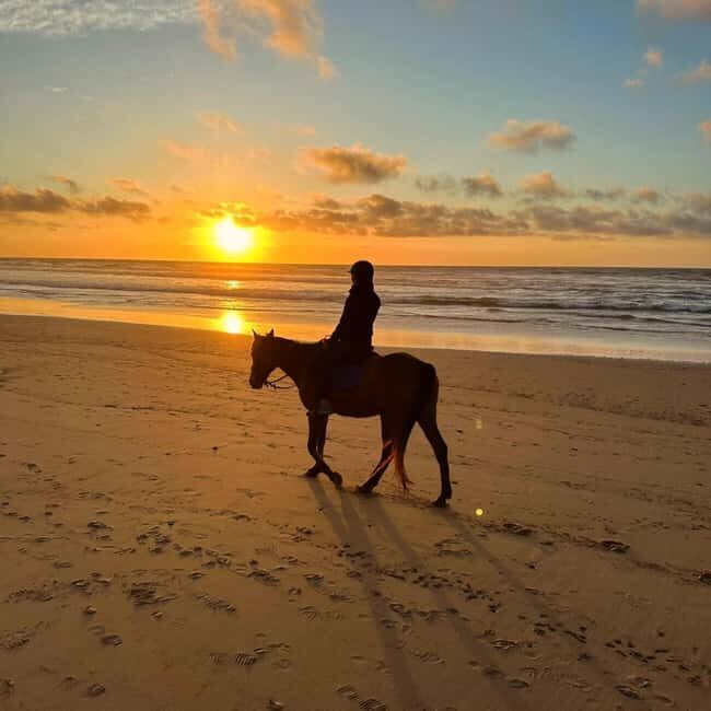 Sunset on Horseback at El Limón Beach - Final Thoughts