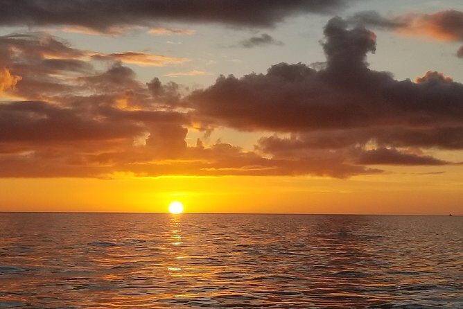 Sunset Private Boat Trip in Naples FL with Secluded Island Stop with your Dog - Analyzing the Value and Experience