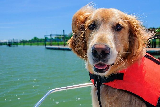 Sunset Private Boat Trip in Naples FL with Secluded Island Stop with your Dog - The Sum Up