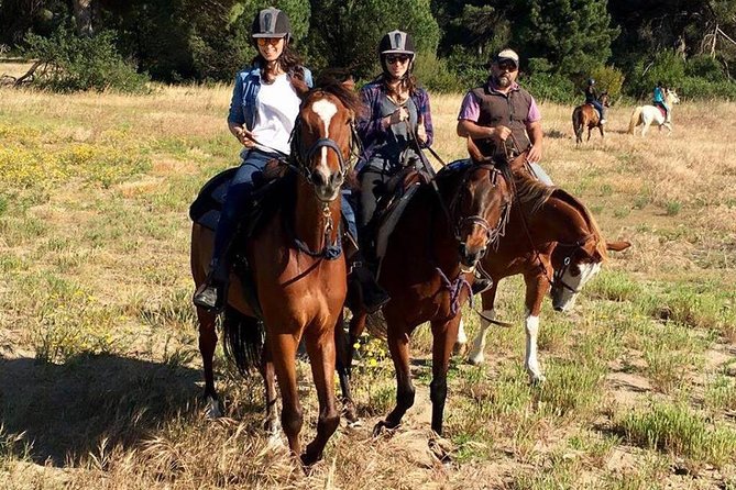 Sunset Ride With Romantic Dinner in Rome - Customer Feedback and Experiences