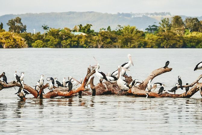 Sunset River Cruise near Byron Bay - Detailed Itinerary Breakdown