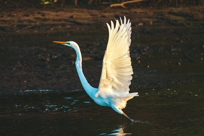 Sunset River Cruise near Byron Bay - Who Will Love This Experience?