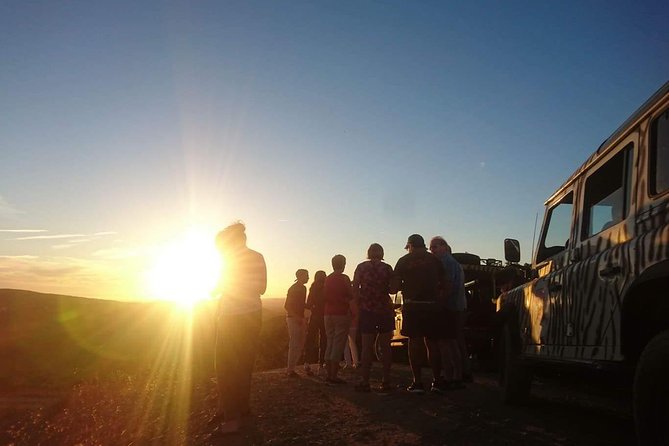 Sunset Safari - Accessibility and Family Friendly Options