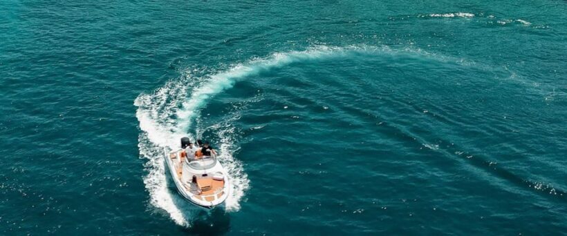 Sunset Safari Private Boat Trip - The Sum Up
