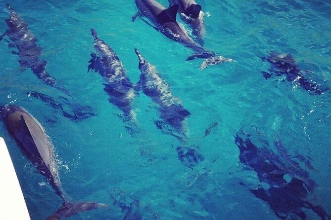 Sunset Sail Experience at Kona From Honokohau - Making the Most of Your Sunset Sail Experience