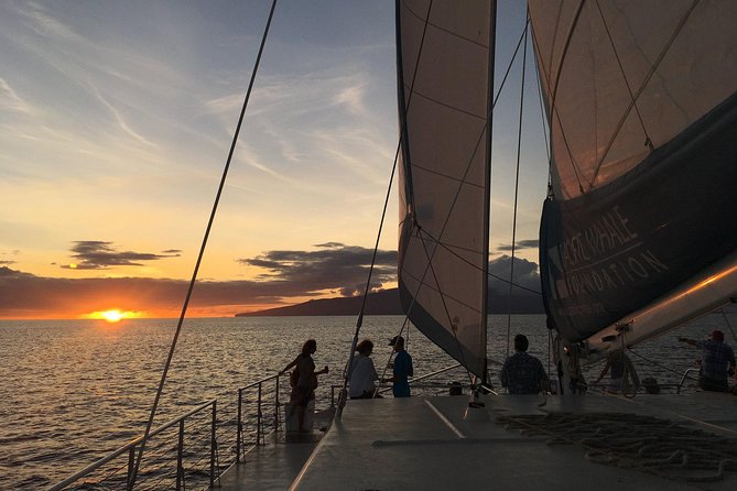 Sunset Sail from Ma'alaea Harbor - Who Should Consider This Tour?
