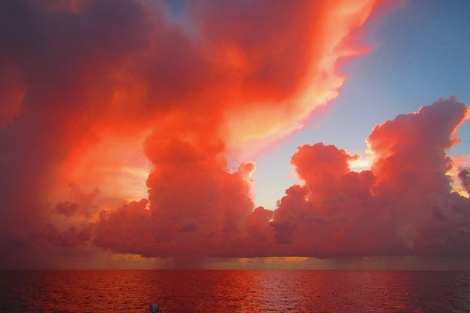 Sunset Sail in Miami: Complimentary Champagne Toast - The Authenticity and Quality of the Experience