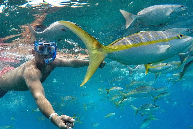 Sunset Sailing Experience (Cocktails, Food, Snorkel, Kayaks) - Inclusions and Amenities