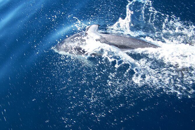 Sunset sailing trip on the Lagoon of Tahiti - An In-Depth Look at the Sunset Sailing Tour