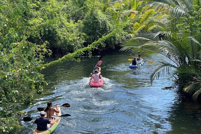 Sunset Scenic Kayaking and Swimming Activity - Key Points
