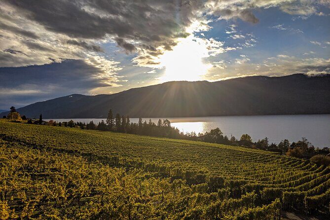 Sunset Sip Wine Tour - FAQ