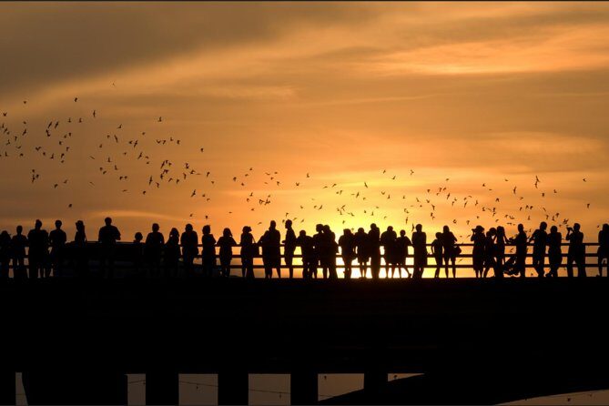 Sunset Skyline Kayak Tour - Final Thoughts: Is the Sunset Skyline Kayak Tour Right for You?