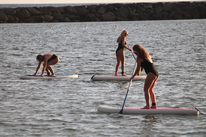 Sunset Stand up Paddle - Customer Experiences and Feedback