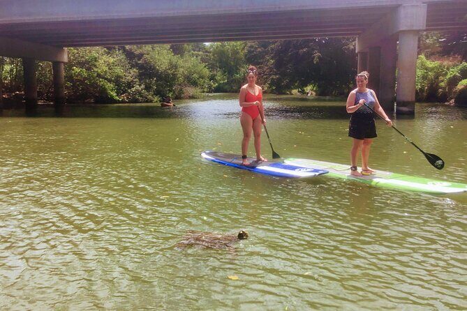 Sunset Stand Up Paddle with Photos and Turtles - Who Should Consider This Experience?