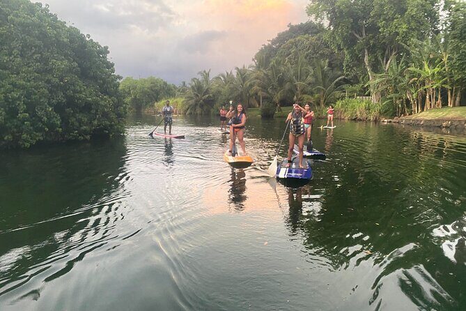 Sunset Stand Up Paddle with Photos and Turtles - The Sum Up: Who Will Love This Tour?