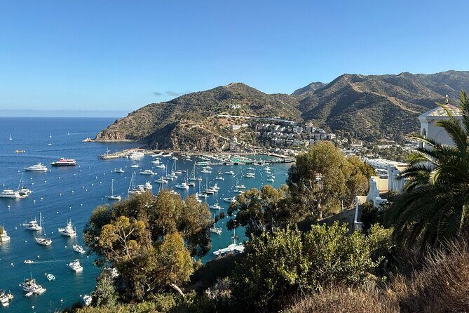 Sunset Summit Catalina Island Shared Tour - The Sum Up