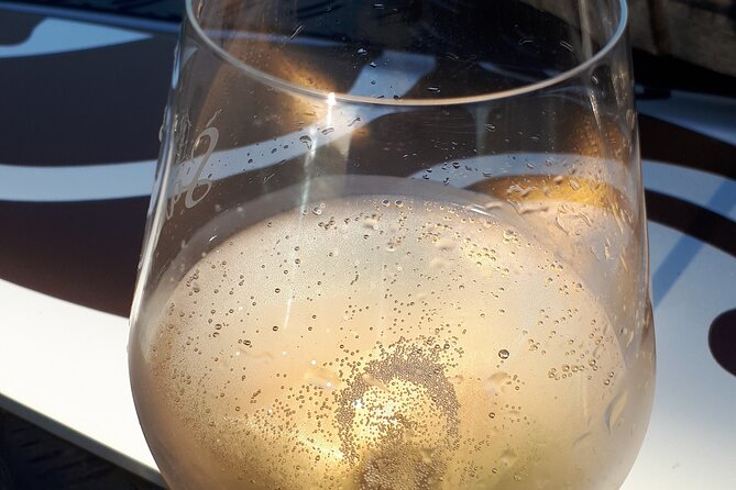 Sunset tasting sunset in the champagne vineyards - Who Will Love This Tour?