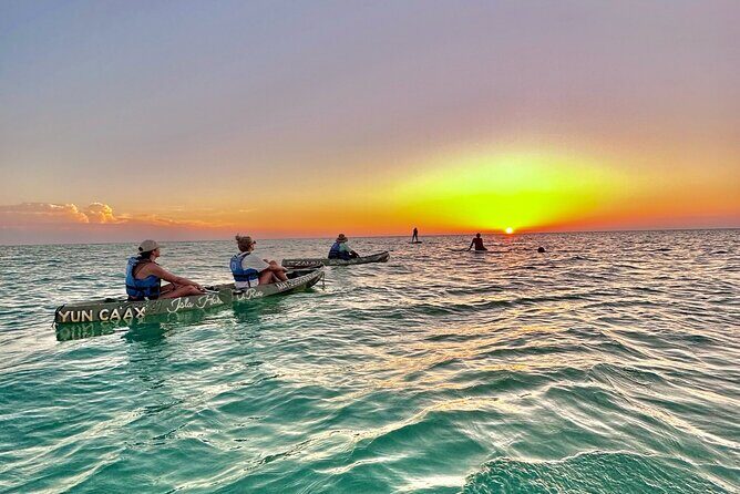 Sunset toast and bioluminescence in clear kayak - Who Will Love This Tour?