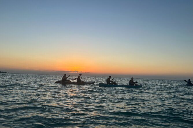Sunset toast and bioluminescence in clear kayak - The Sum Up