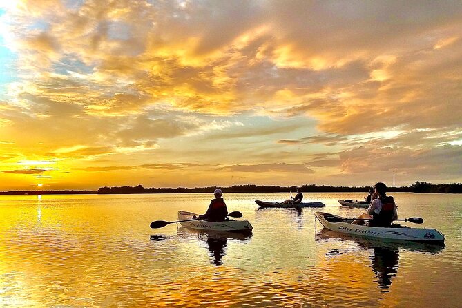Sunset Tour Mangrove, Dolphins, Manatee #1 Rated in Cocoa Beach - Key Points: