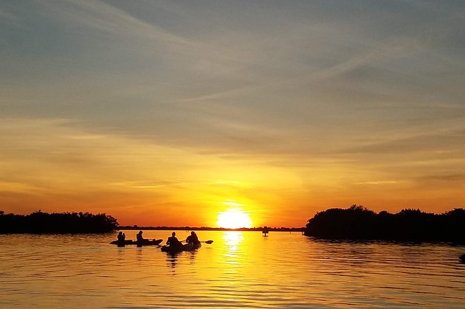 Sunset Tour Mangrove, Dolphins, Manatee #1 Rated in Cocoa Beach - Detailed Itinerary and What to Expect