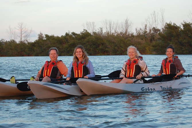 Sunset Tour Mangrove, Dolphins, Manatee #1 Rated in Cocoa Beach - The Sum Up: Who Will Love This Tour?
