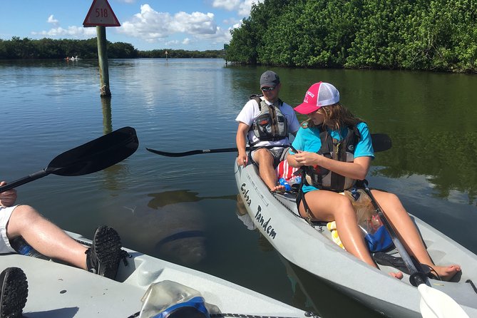 Sunset Tour Mangrove, Dolphins, Manatee #1 Rated in Cocoa Beach - Frequently Asked Questions