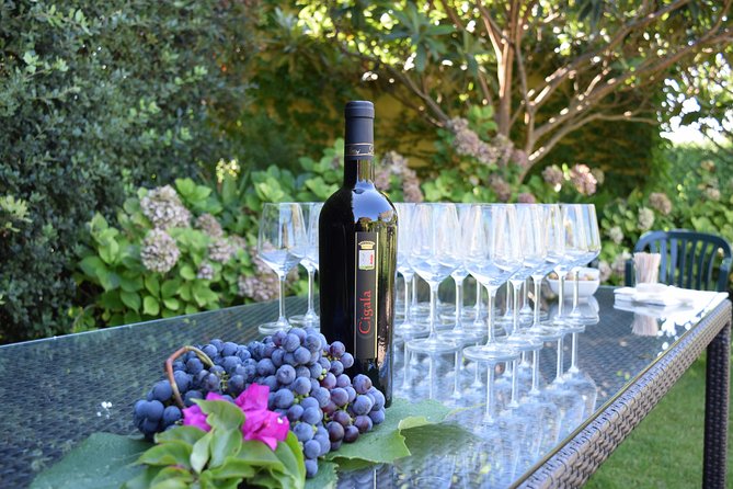 Sunset Tour With Visit and Guided Tasting of 5 Wines and Local Products - Additional Information