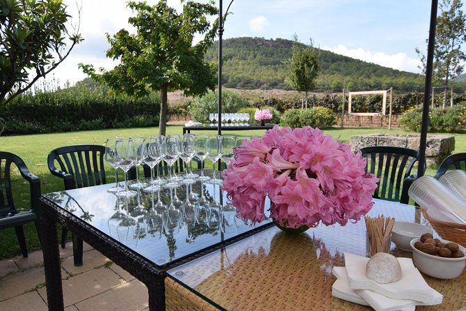 Sunset Tour With Visit and Guided Tasting of 5 Wines and Local Products - Meeting Point and Accessibility