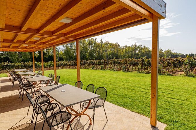 Sunset Tour With Visit and Guided Tasting of 5 Wines and Local Products - Exploring the Vineyard