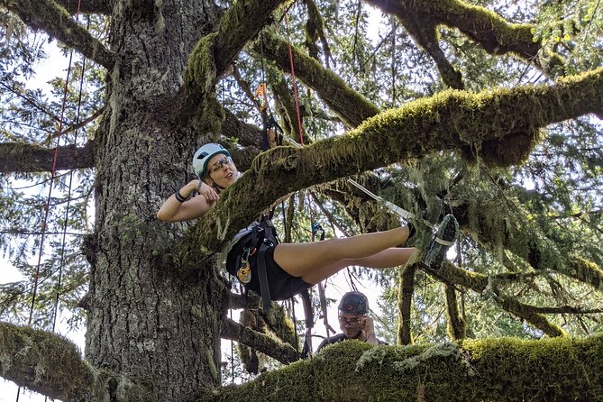 Sunset Tree Climb at Silver Falls State Park - FAQs