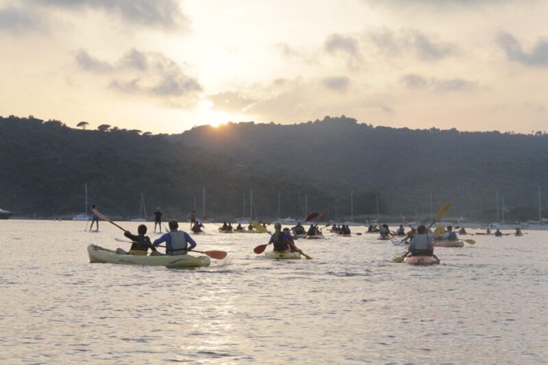 Sunset trip kayak tour in the gulf of Saint-Tropez - The Experience Review: Authentic and Fun