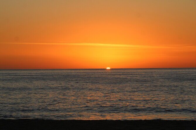 Sunset Whale Cruise in Cabo San Lucas - Why This Tour Works Well