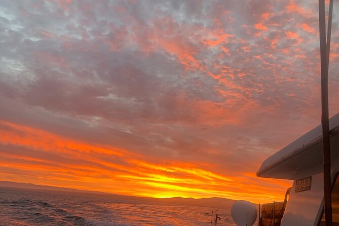 Sunset Whale Watch Tour in Monterey - Customer Experiences and Reviews