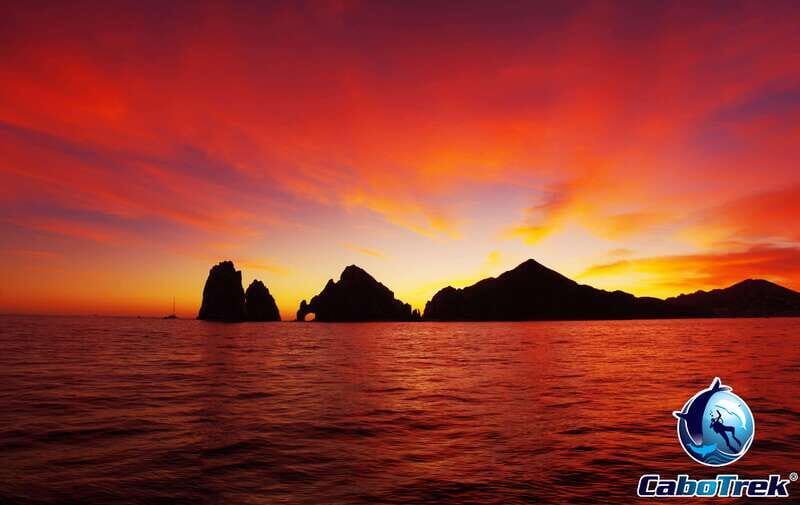 Sunset Whale Watching Cruise in Cabo San Lucas - The Experience of a Marine Biologist Guide
