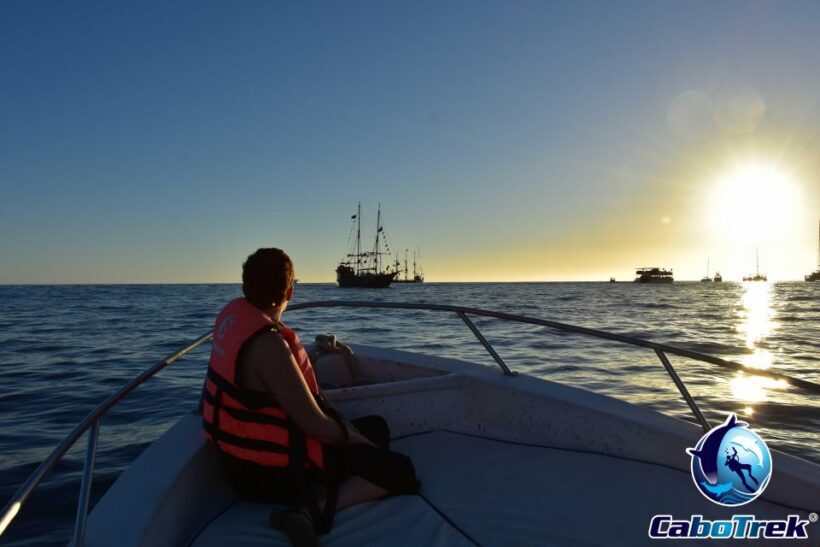 Sunset Whale Watching Cruise in Cabo San Lucas - Who Should Consider This Tour?
