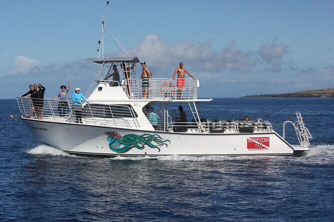 Sunset Whale Watching Shared Activity - The Sum Up: Who Should Consider This Tour?