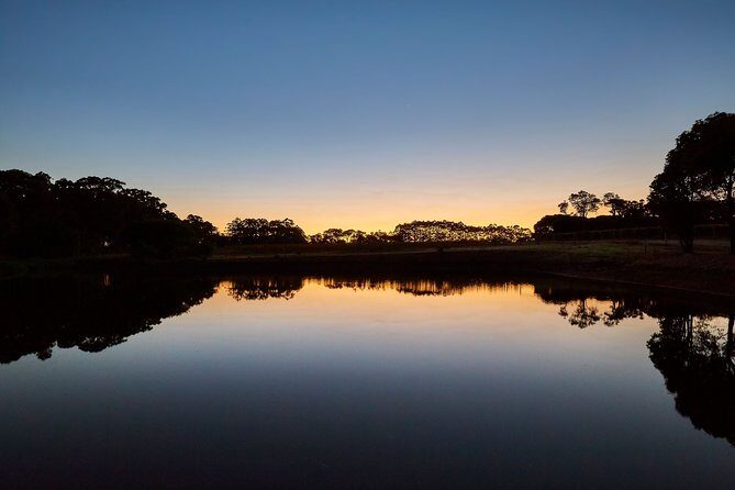 Sunset Wine Tasting Experience at Passel Estate - An Overview of the Experience