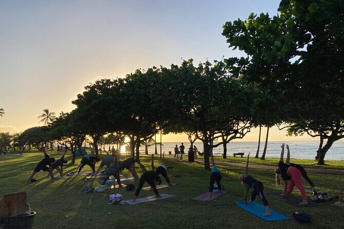 Sunset Yoga Flow at Magic Island - An Overview of the Experience