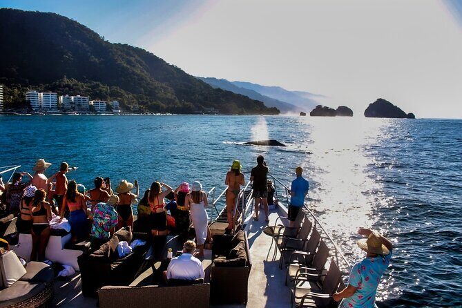 Sunsets and Whales Mega Yachts ALL INCLUSIVE: Puerto Vallarta - An In-Depth Look at the Tour Experience