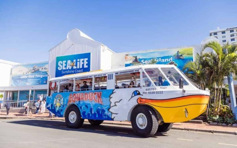 Sunshine Coast: 1-Hour Land and Water Tour - Key Points