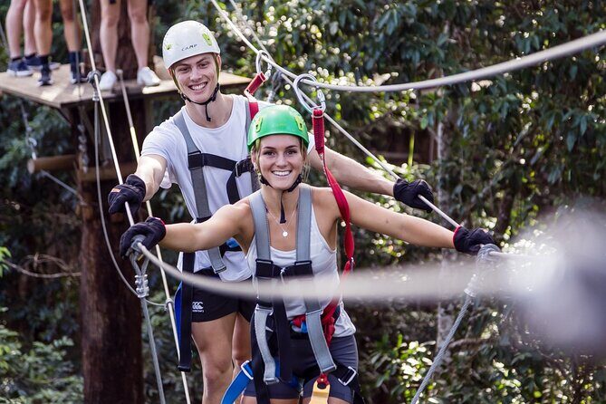 Sunshine Coast Adventure Park TreeTop Challenge - Who Will Love the TreeTop Challenge?