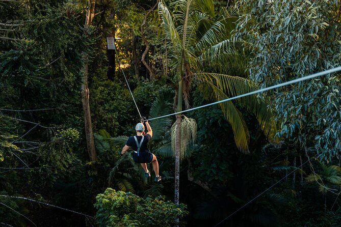 Sunshine Coast Adventure Park TreeTop Challenge - Frequently Asked Questions