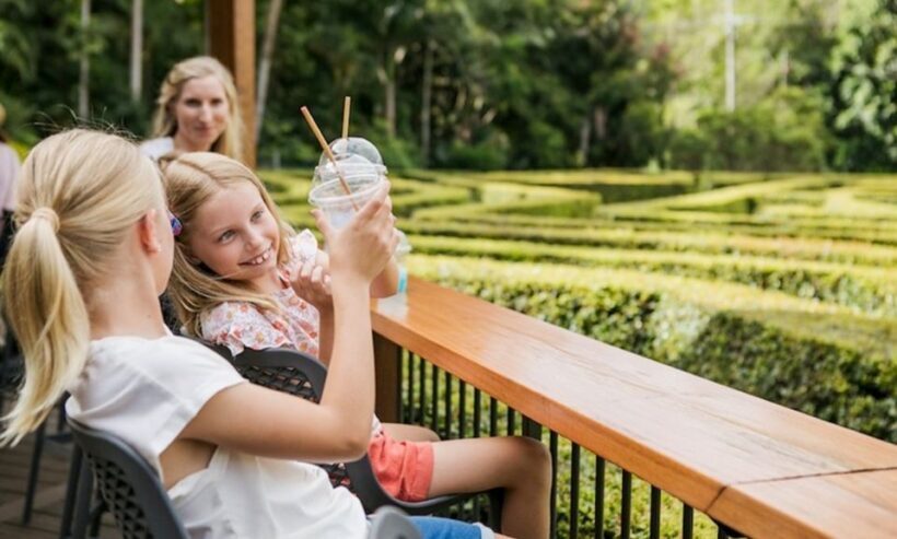 Sunshine Coast: Amaze World All-Day Entry Ticket - Practical Tips for Your Visit